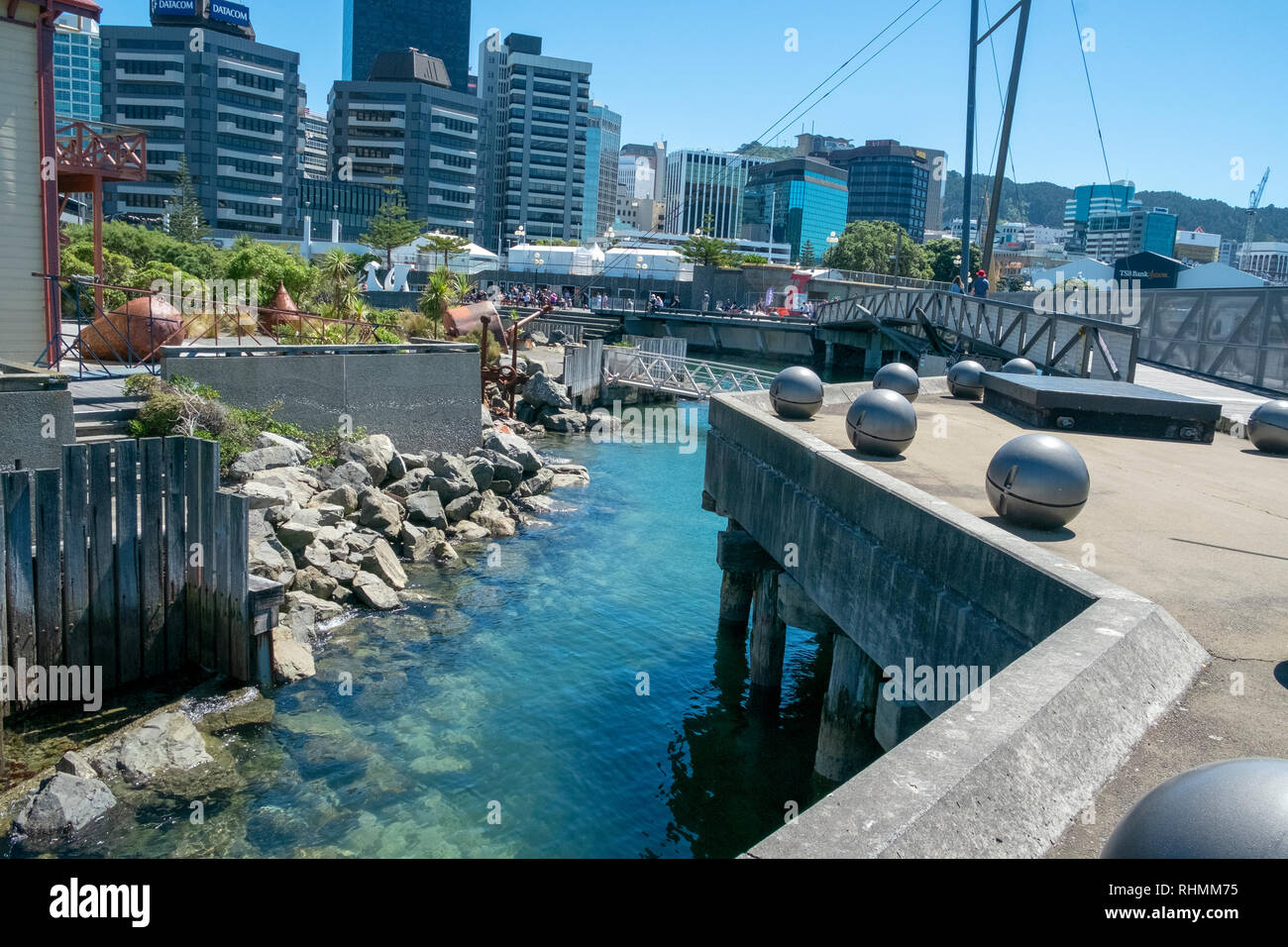 Wellington Waterfront, people kayaking in the harbour. Wellington, New ...