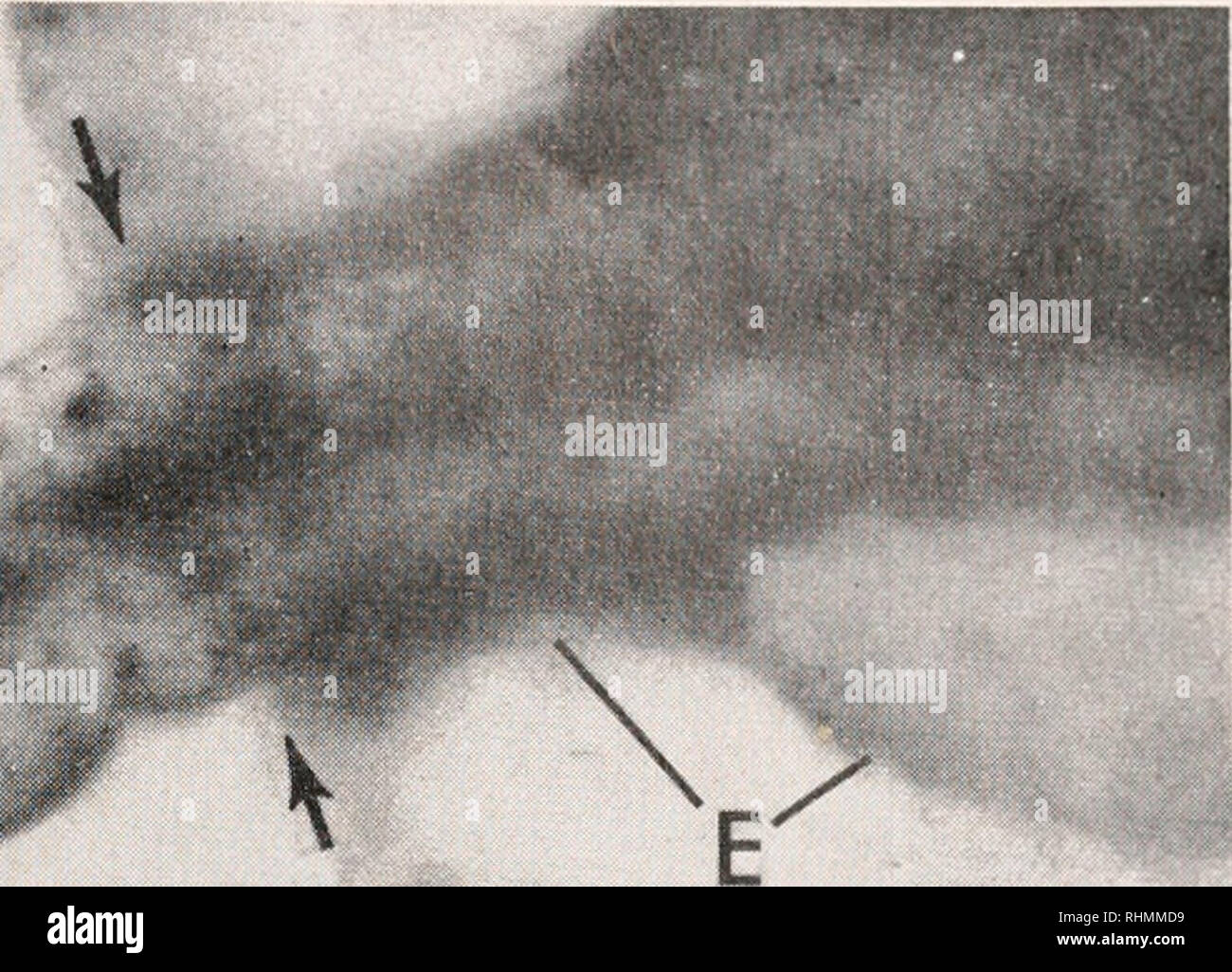 Released in 1960 hi-res stock photography and images - Alamy