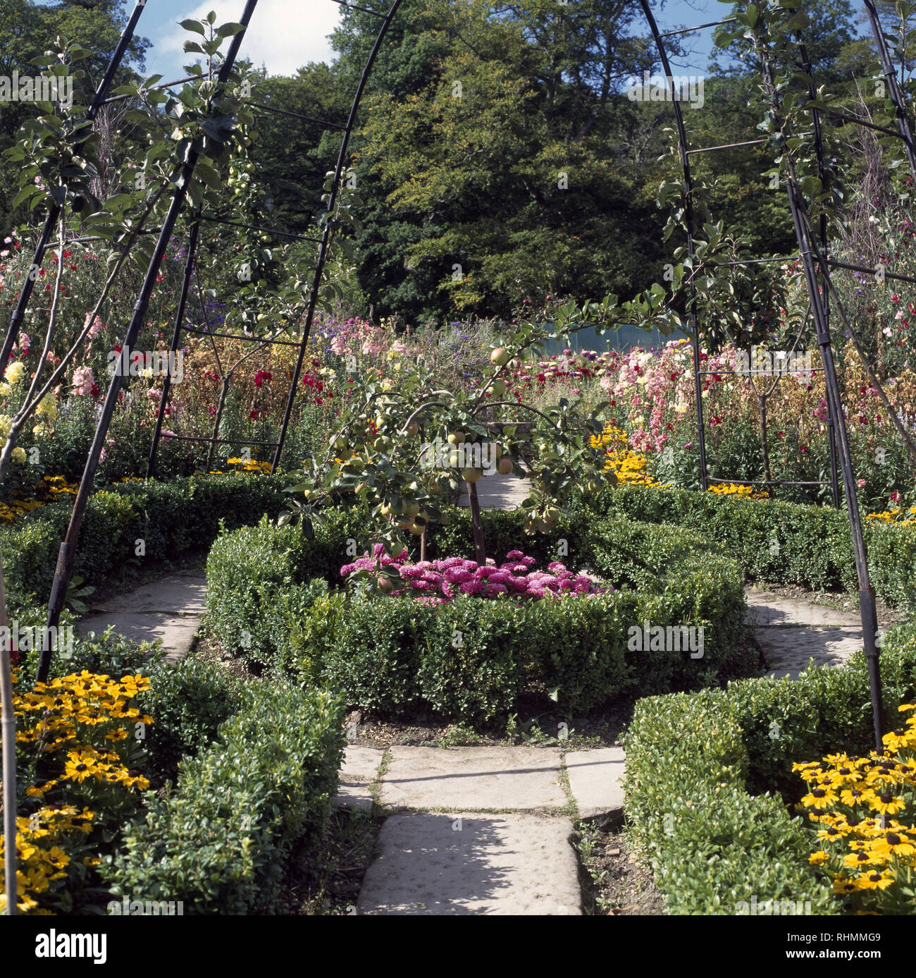 Potager garden with annuals in formal beds with low box edging Stock ...
