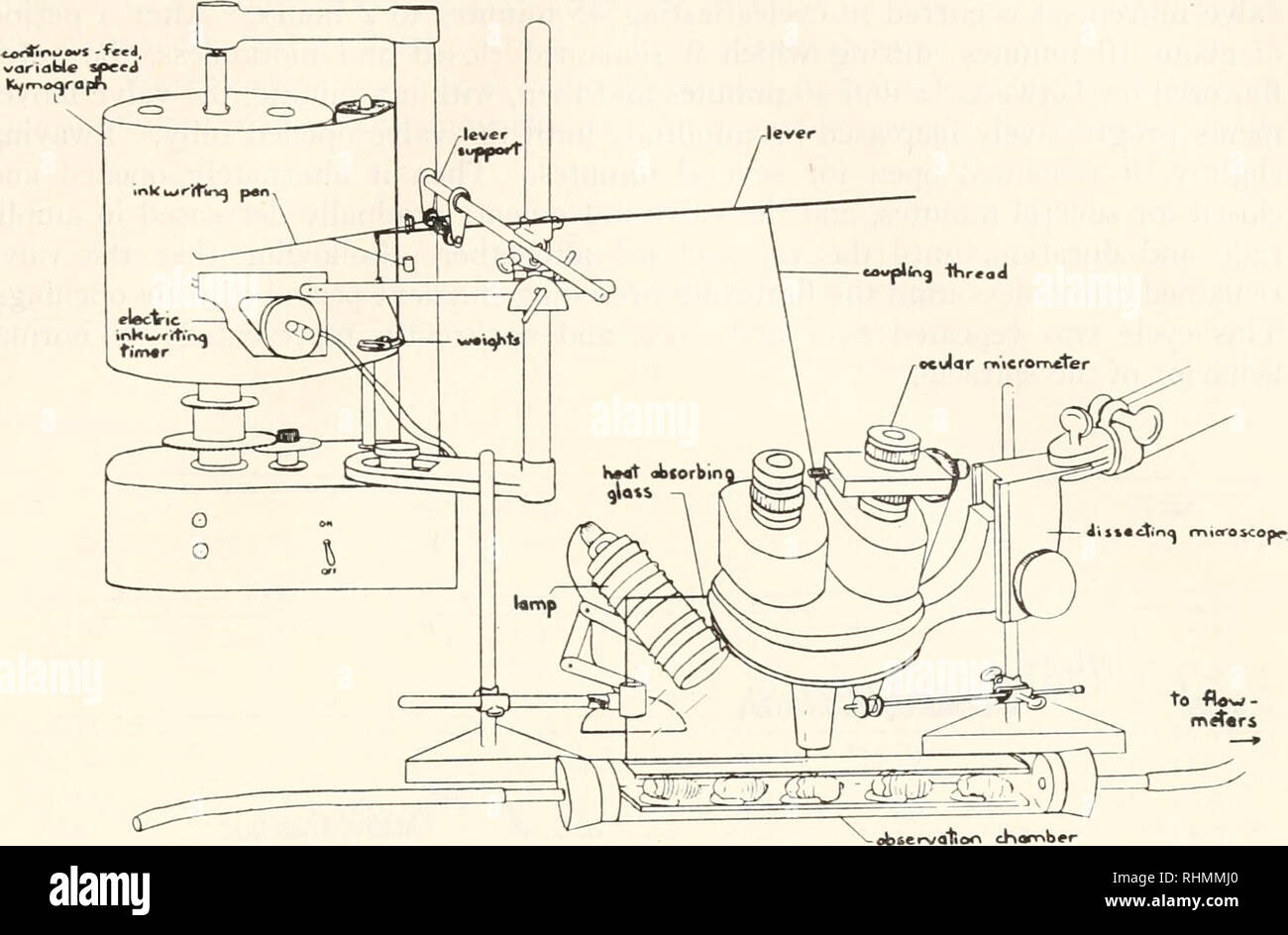 . The Biological bulletin. Biology; Zoology; Biology; Marine Biology ...