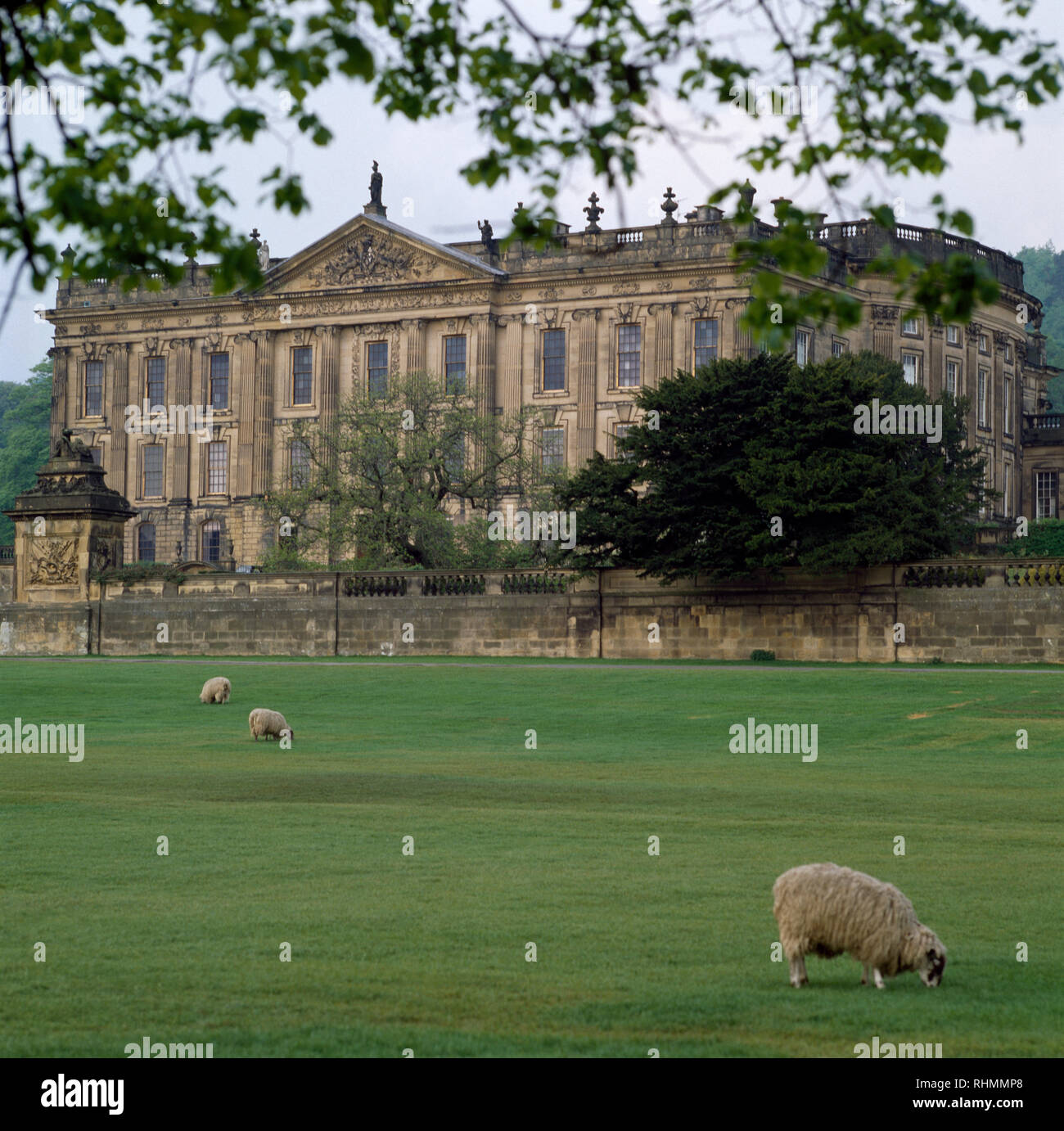 Sheep grazing in field in front of Chatsworth House Stock Photo - Alamy