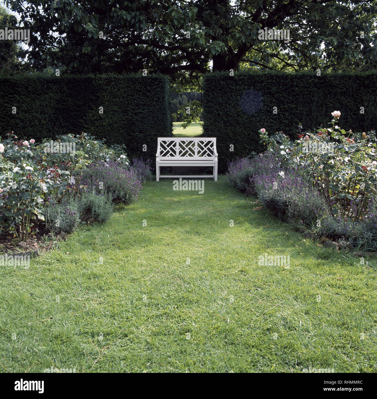 Lavender edged path hi-res stock photography and images - Alamy
