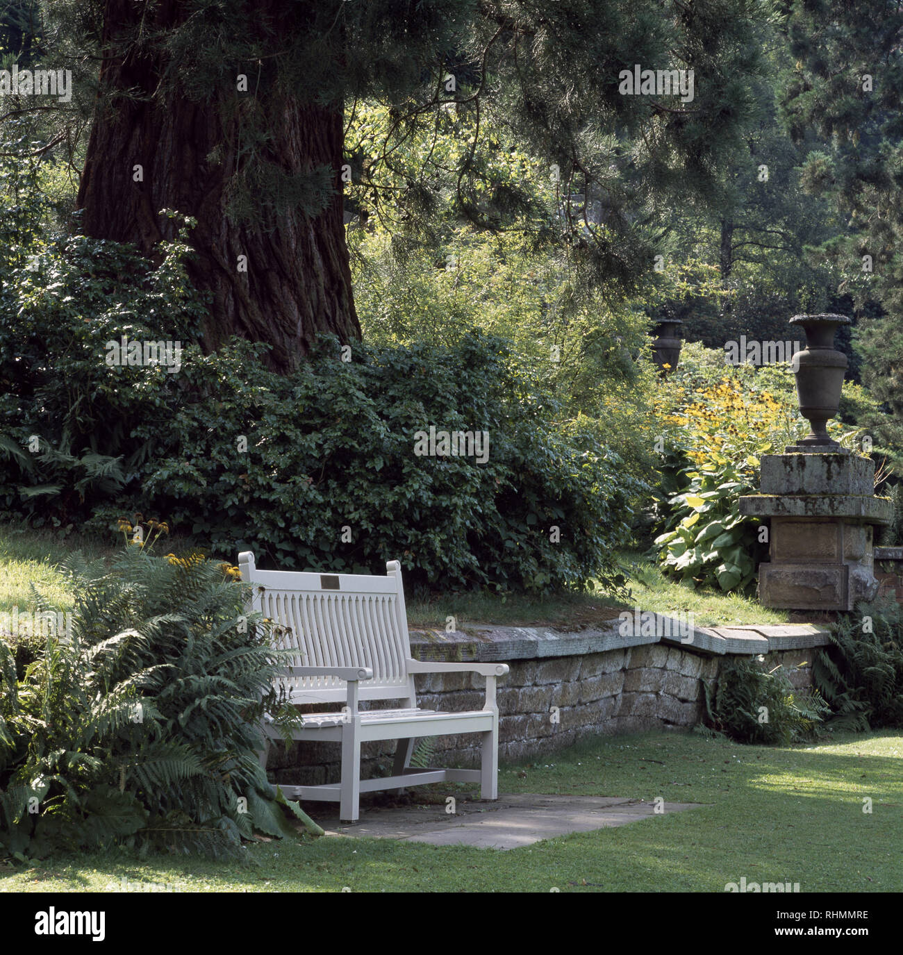 White painted wooden benches hi-res stock photography and images - Alamy