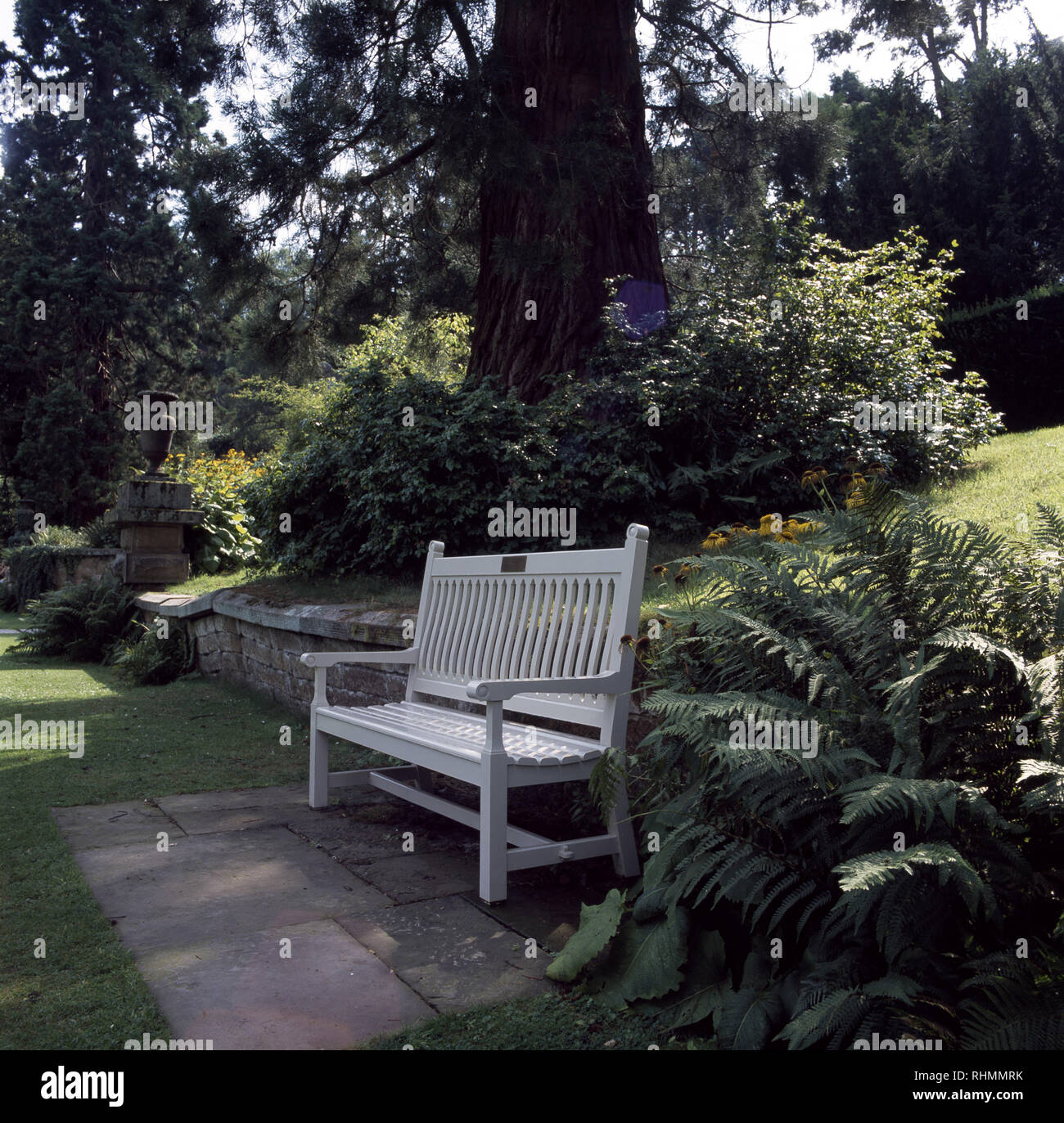 Beneath shady tree hi-res stock photography and images - Alamy