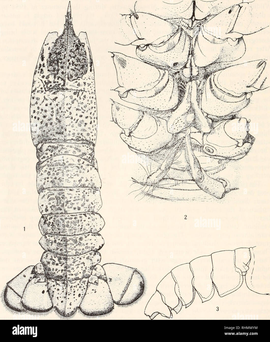 . The Biological bulletin. Biology; Zoology; Biology; Marine Biology ...