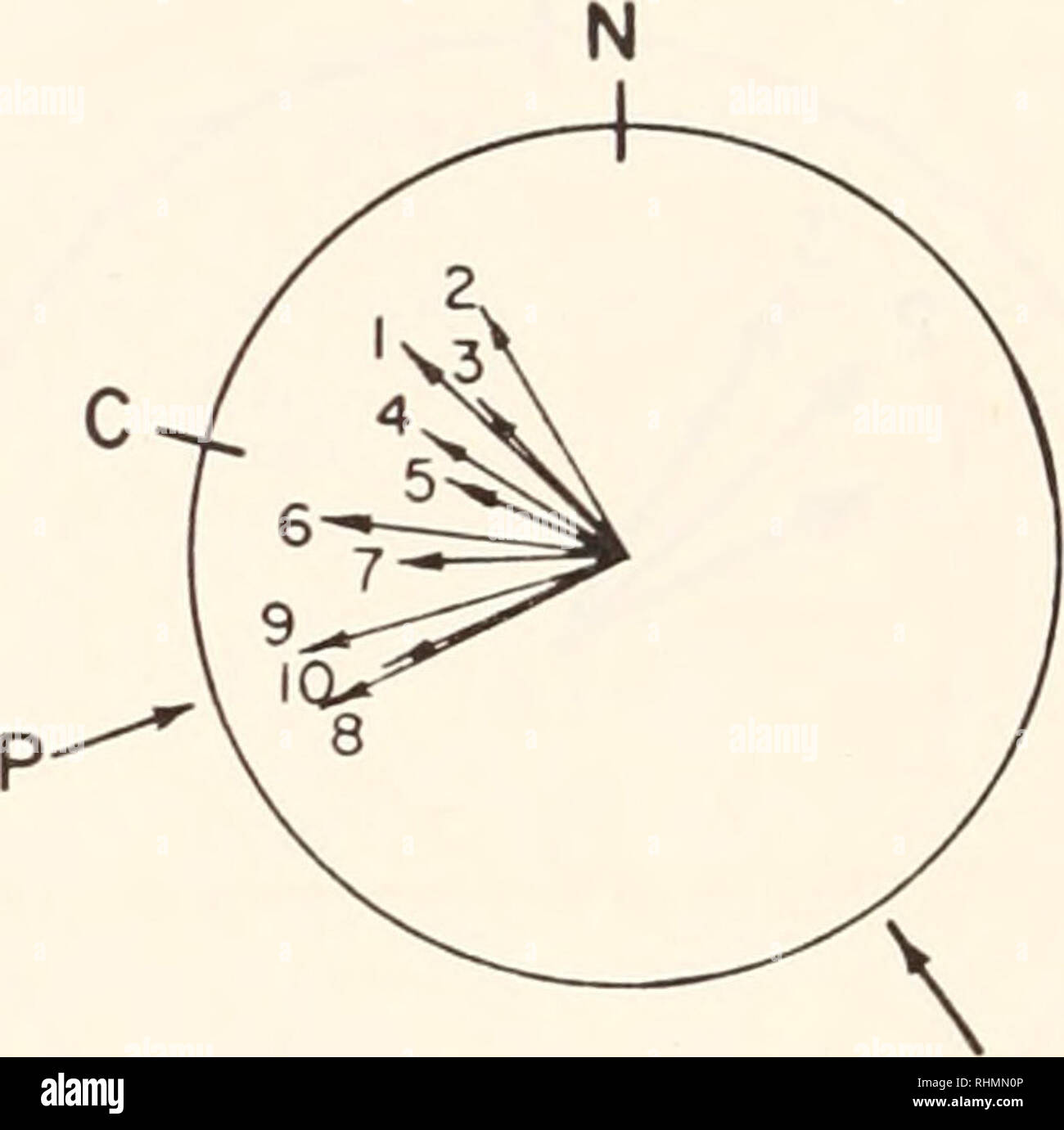 Sequential figure numbers hi-res stock photography and images - Alamy