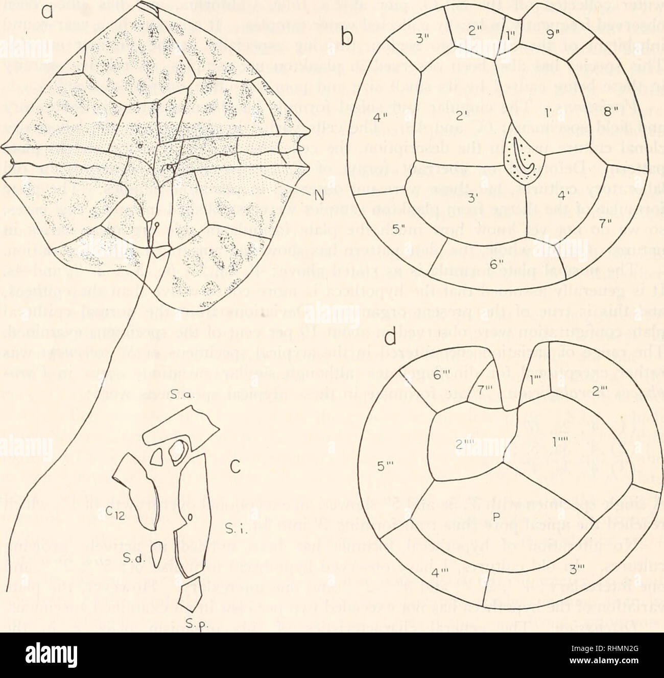 . The Biological bulletin. Biology; Zoology; Biology; Marine Biology ...