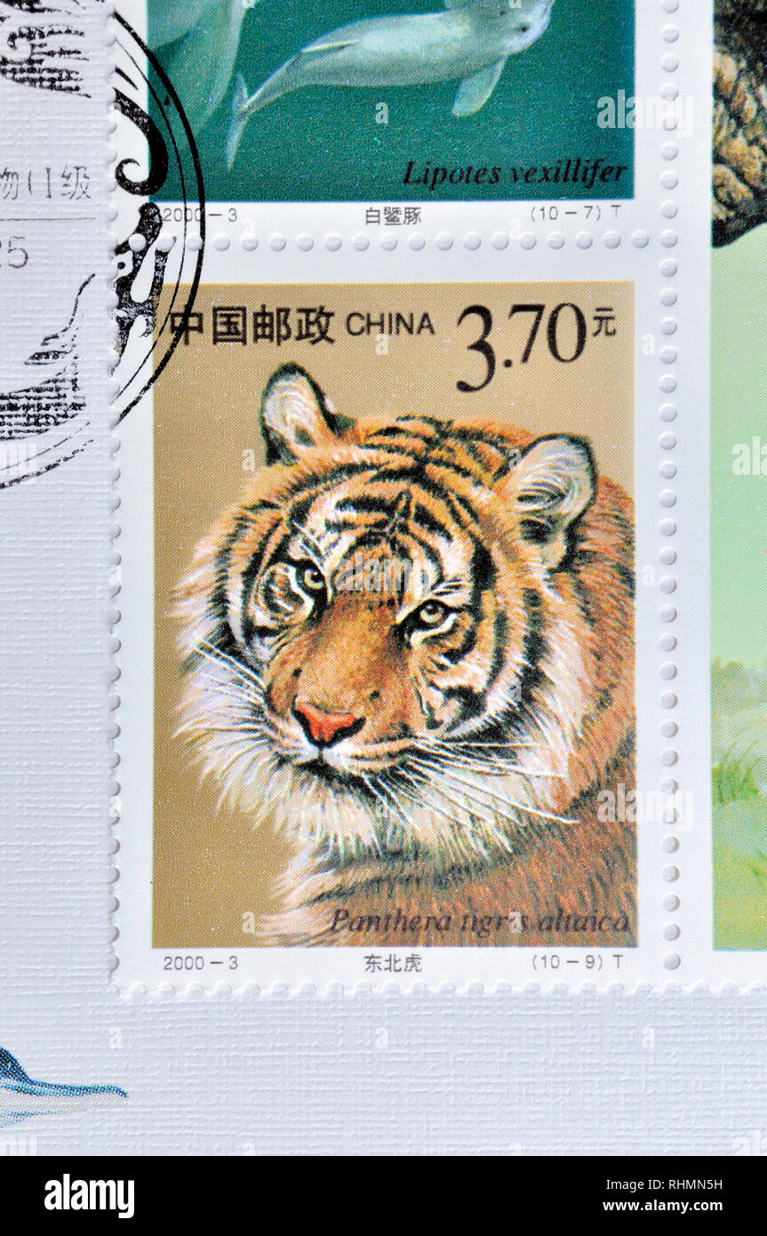 CHINA - CIRCA 2000: A stamp printed in China shows 2000-3 Key Wild ...