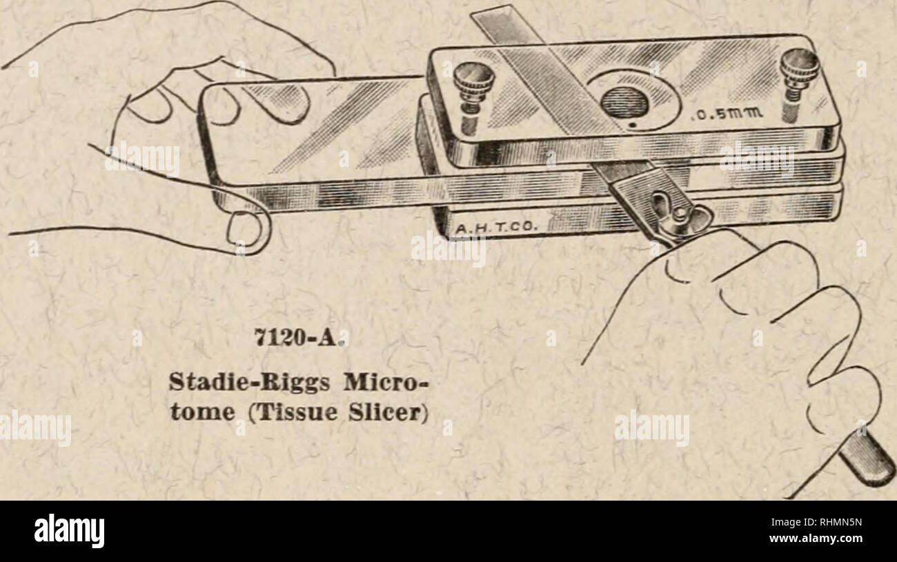 . The Biological bulletin. Biology; Zoology; Biology; Marine Biology ...