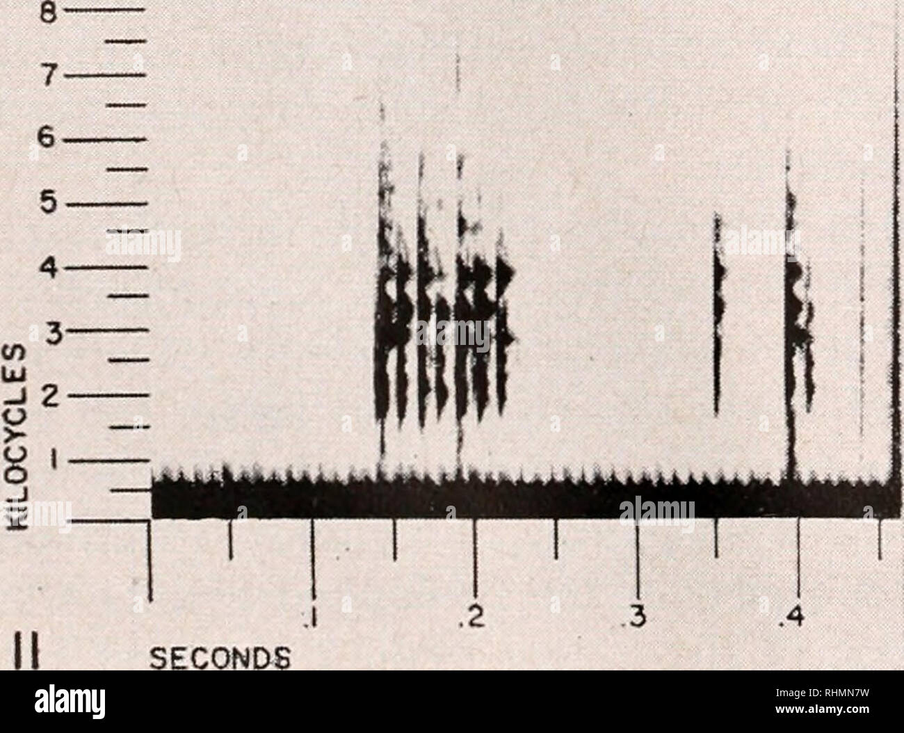 . The Biological bulletin. Biology; Zoology; Biology; Marine Biology ...