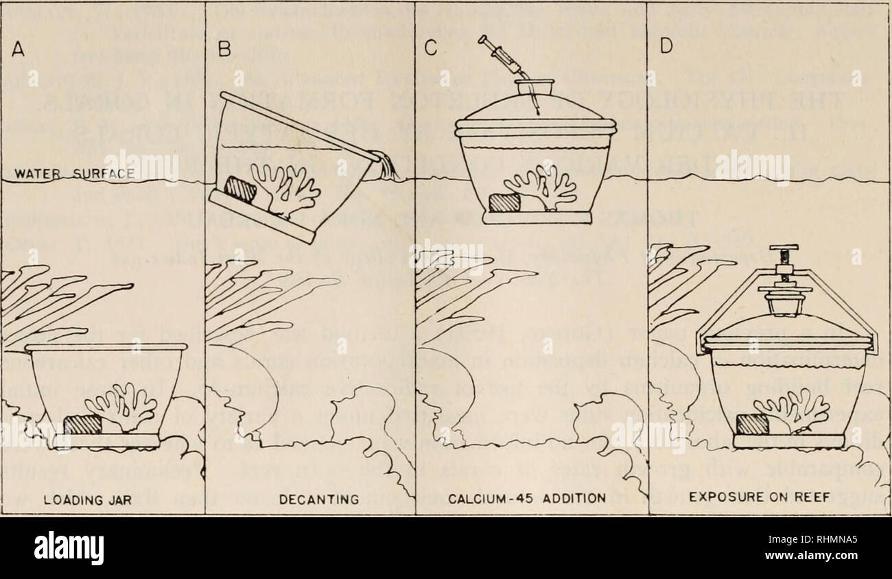 . The Biological bulletin. Biology; Zoology; Biology; Marine Biology ...