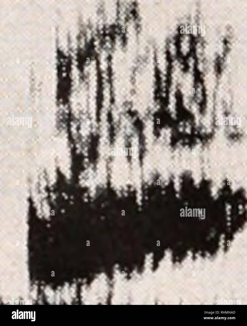 Toothplate hi-res stock photography and images - Alamy