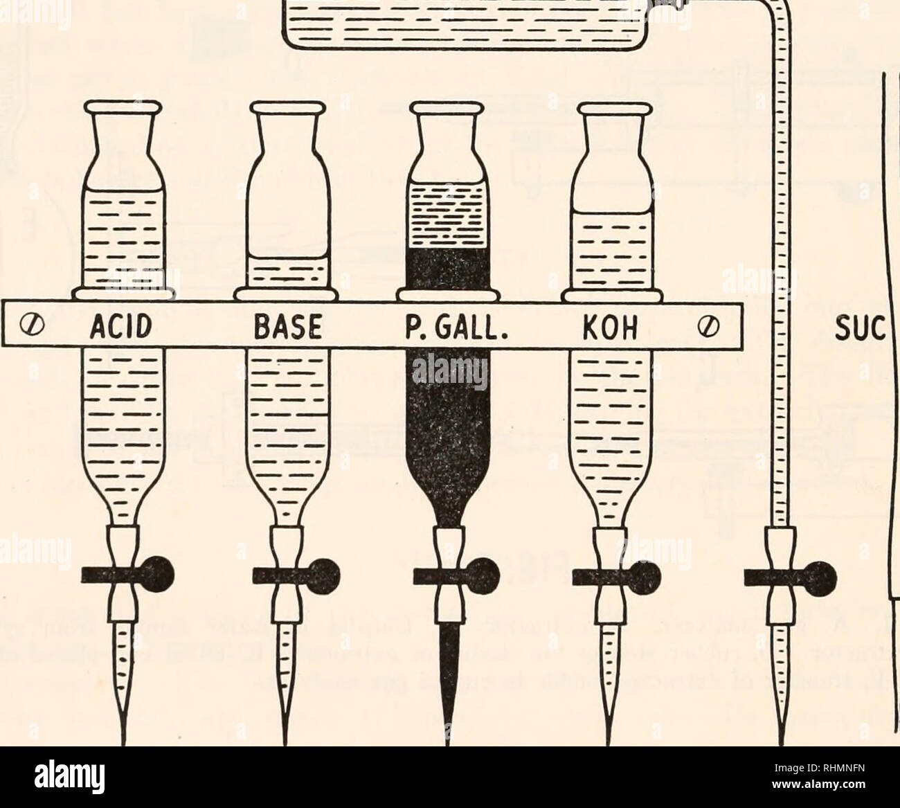 . The Biological bulletin. Biology; Zoology; Biology; Marine Biology ...