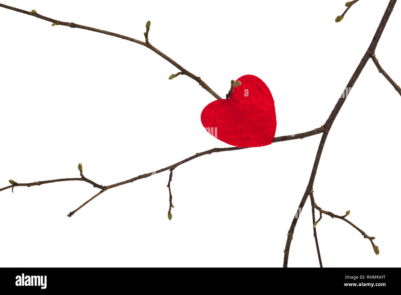 Valentine heart lies on a tree branch, isolated Stock Photo - Alamy