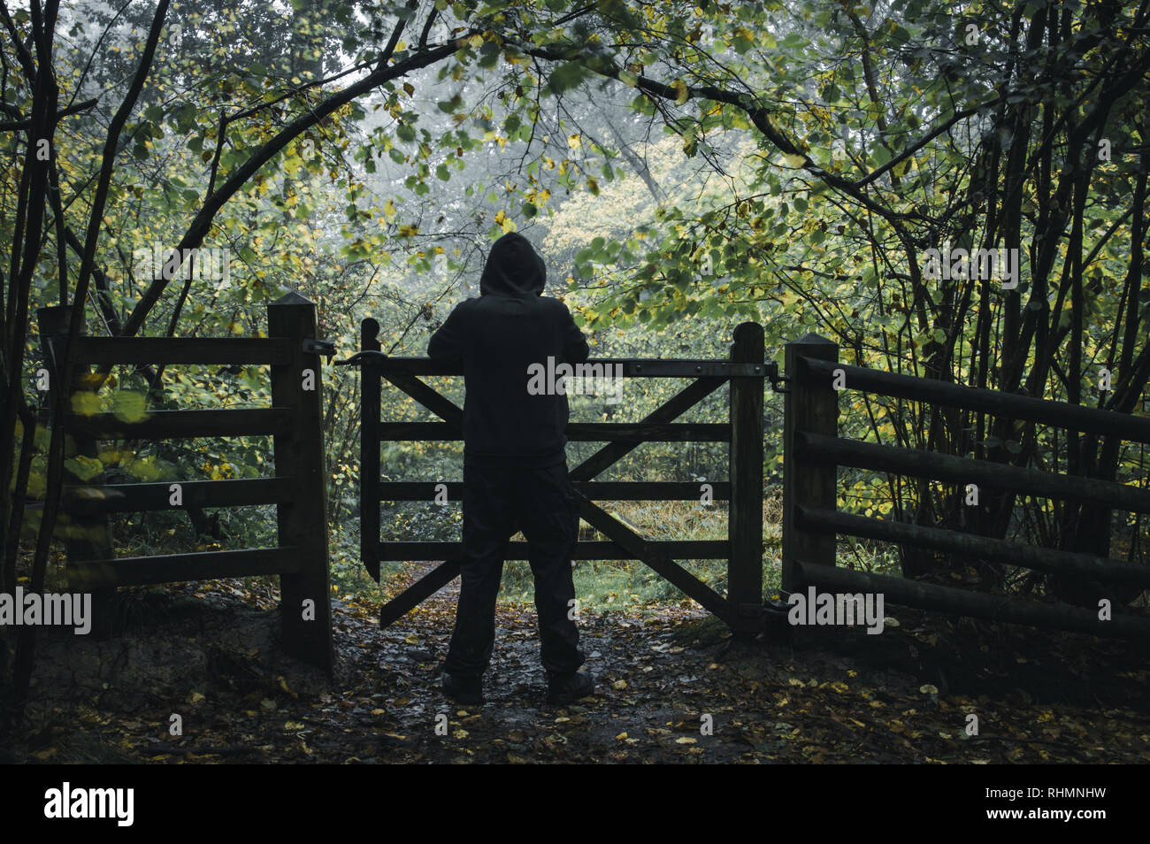 Hooded figure in woods hi-res stock photography and images - Alamy
