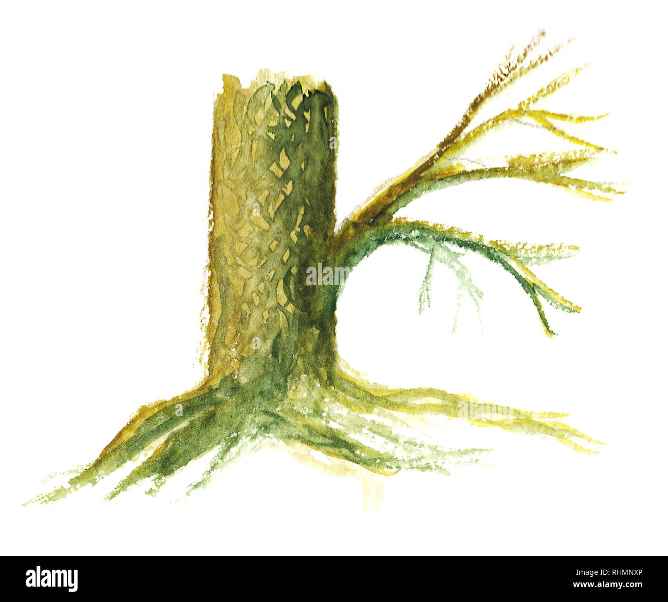 Tree trunk with roots Stock Photo - Alamy