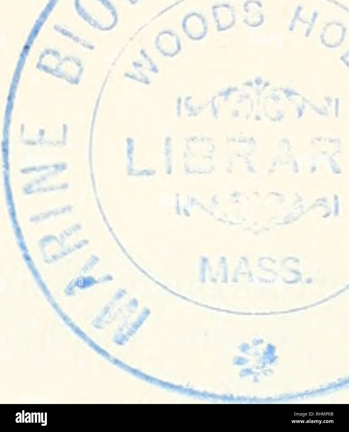 Larval cyst hi-res stock photography and images - Alamy