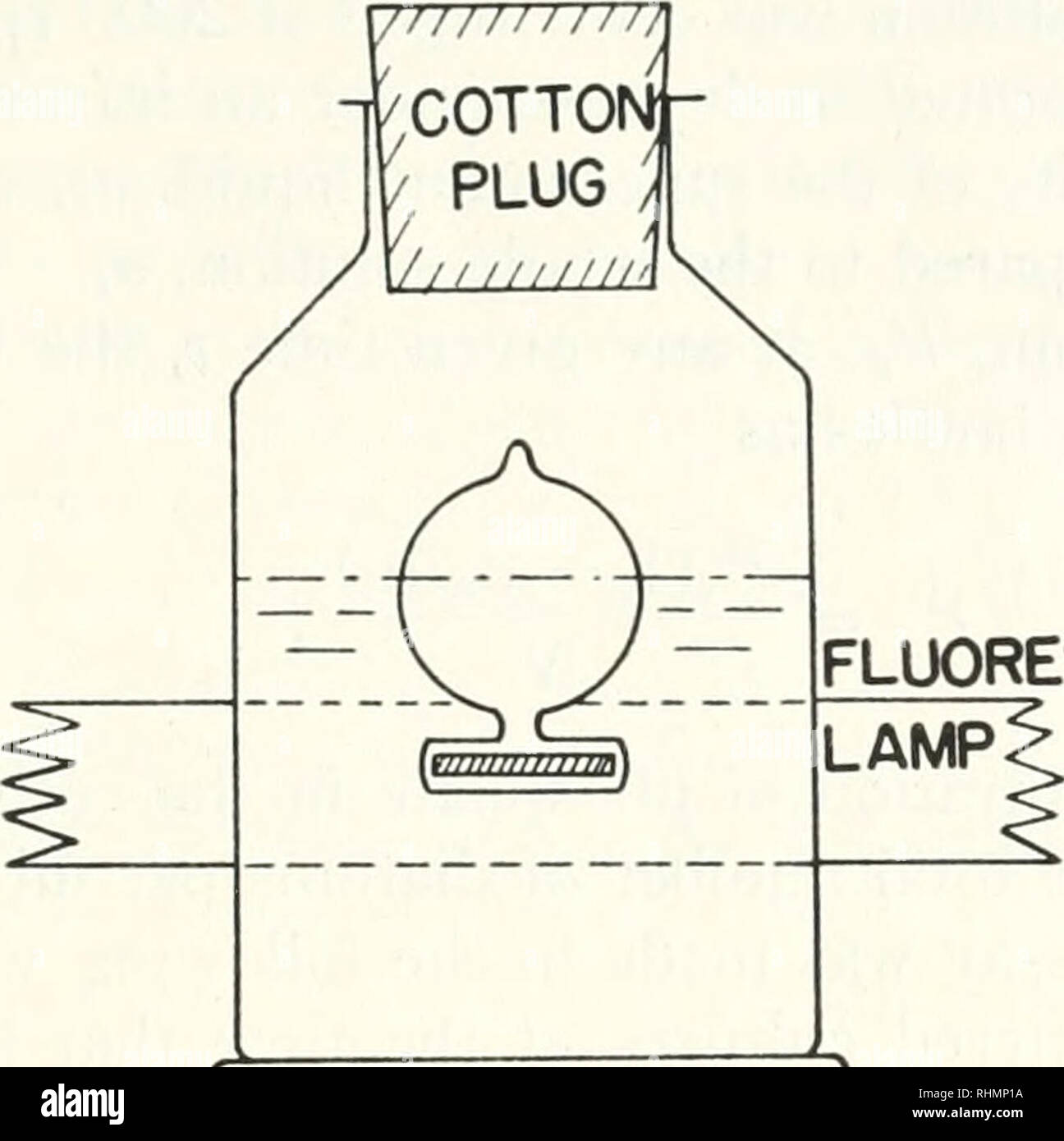 Magnetic Stirrer Drawing