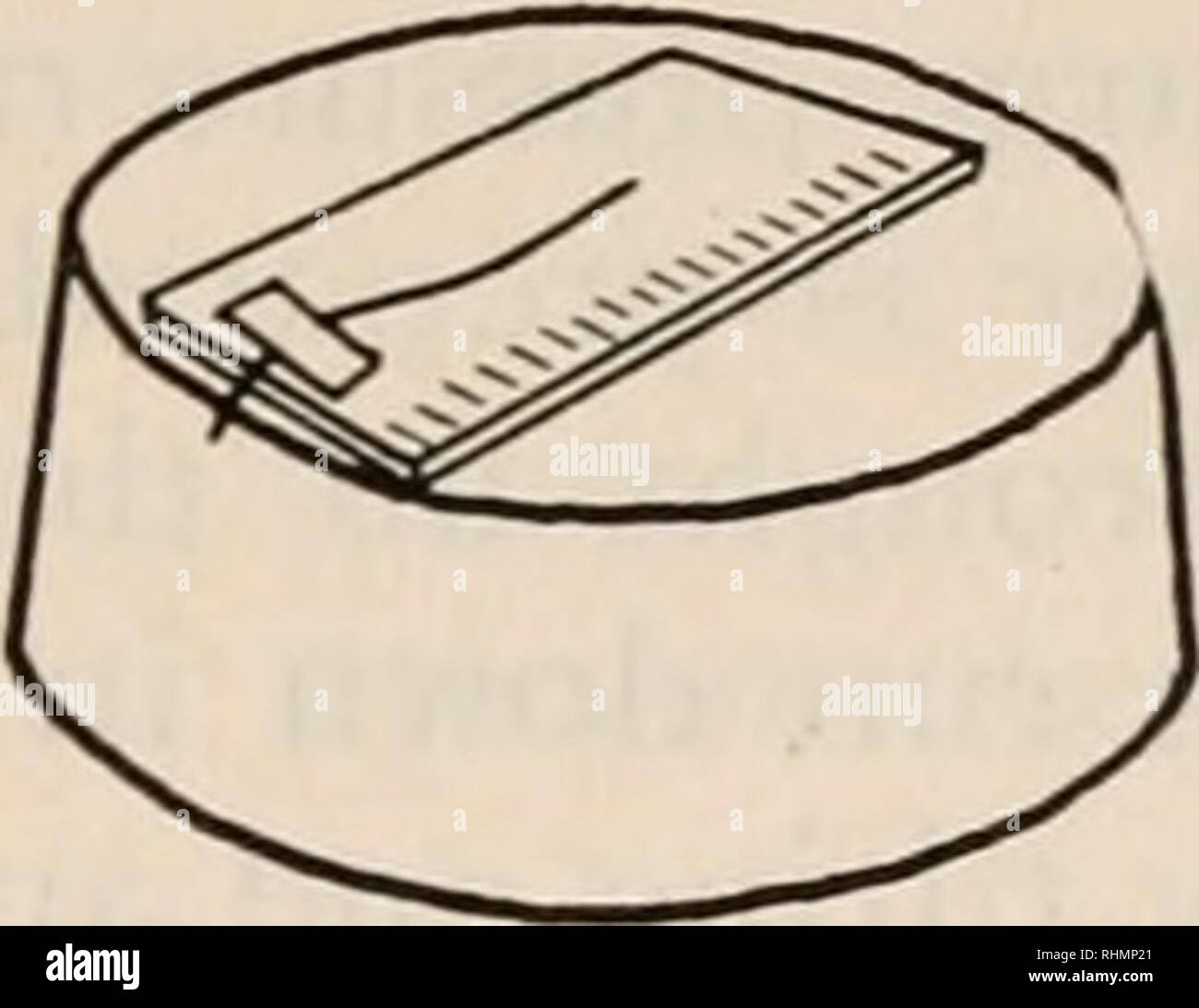 Thinner card hi-res stock photography and images - Alamy