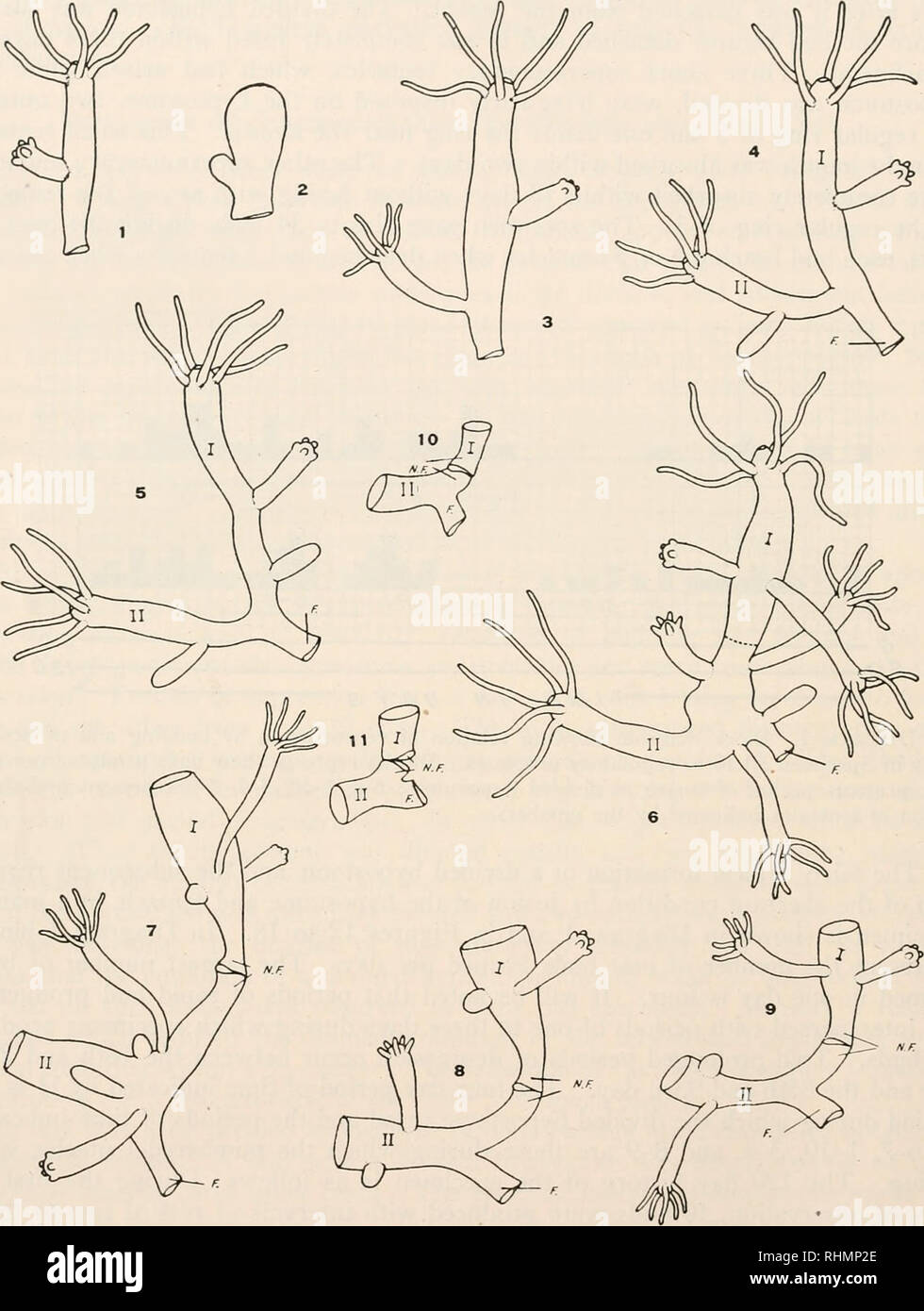 . The Biological bulletin. Biology; Zoology; Biology; Marine Biology ...