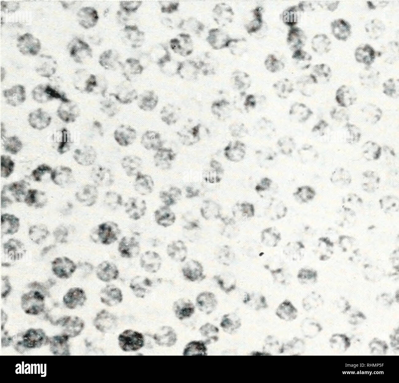 Av junction hi-res stock photography and images - Alamy