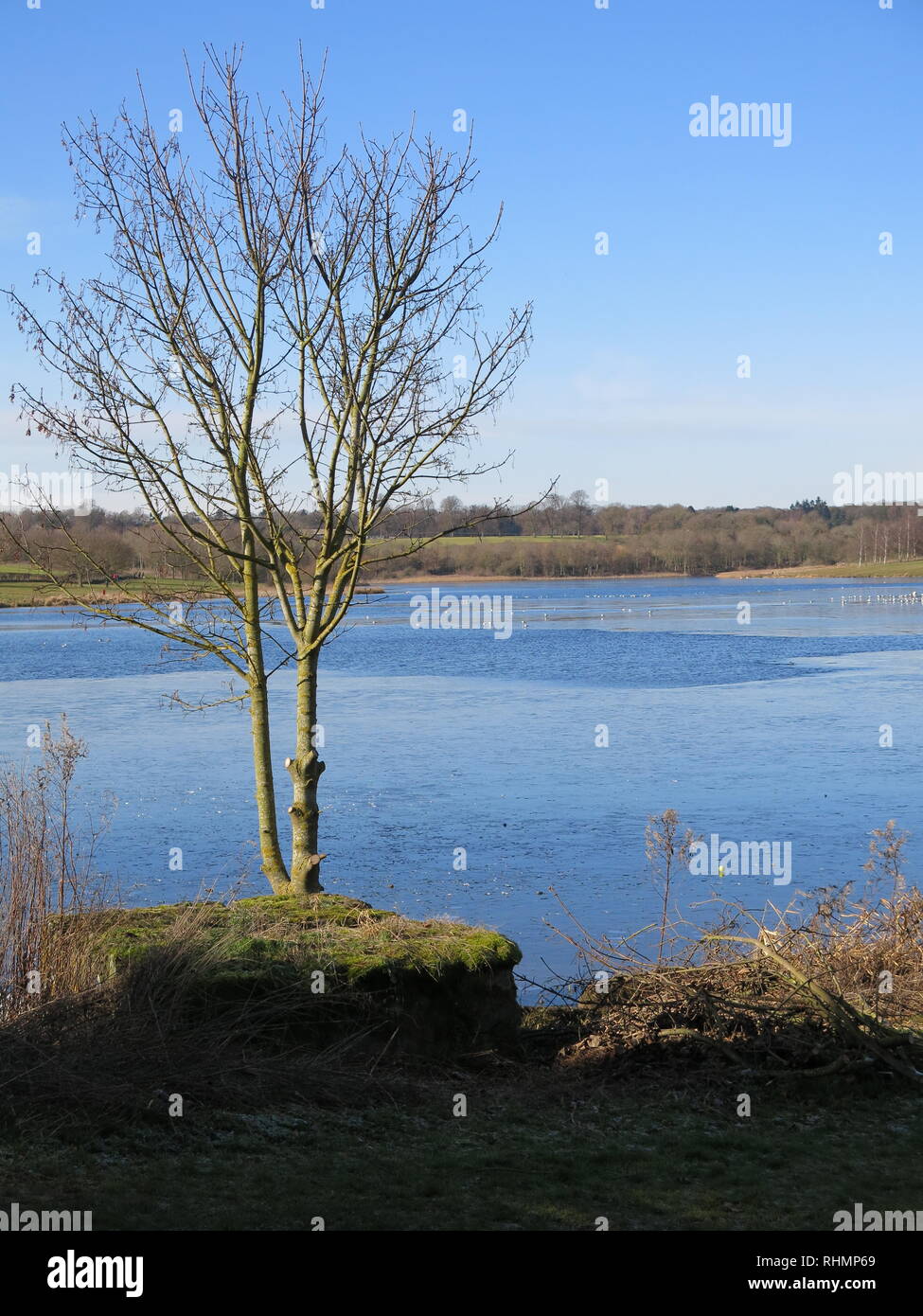 A wintry scene at the reservoir, partly frozen in early February ...