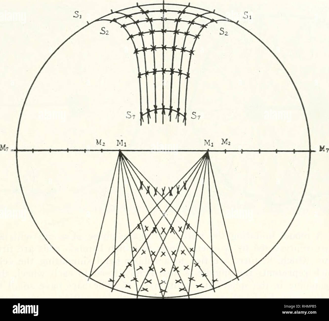 . The Biological bulletin. Biology; Zoology; Biology; Marine Biology ...