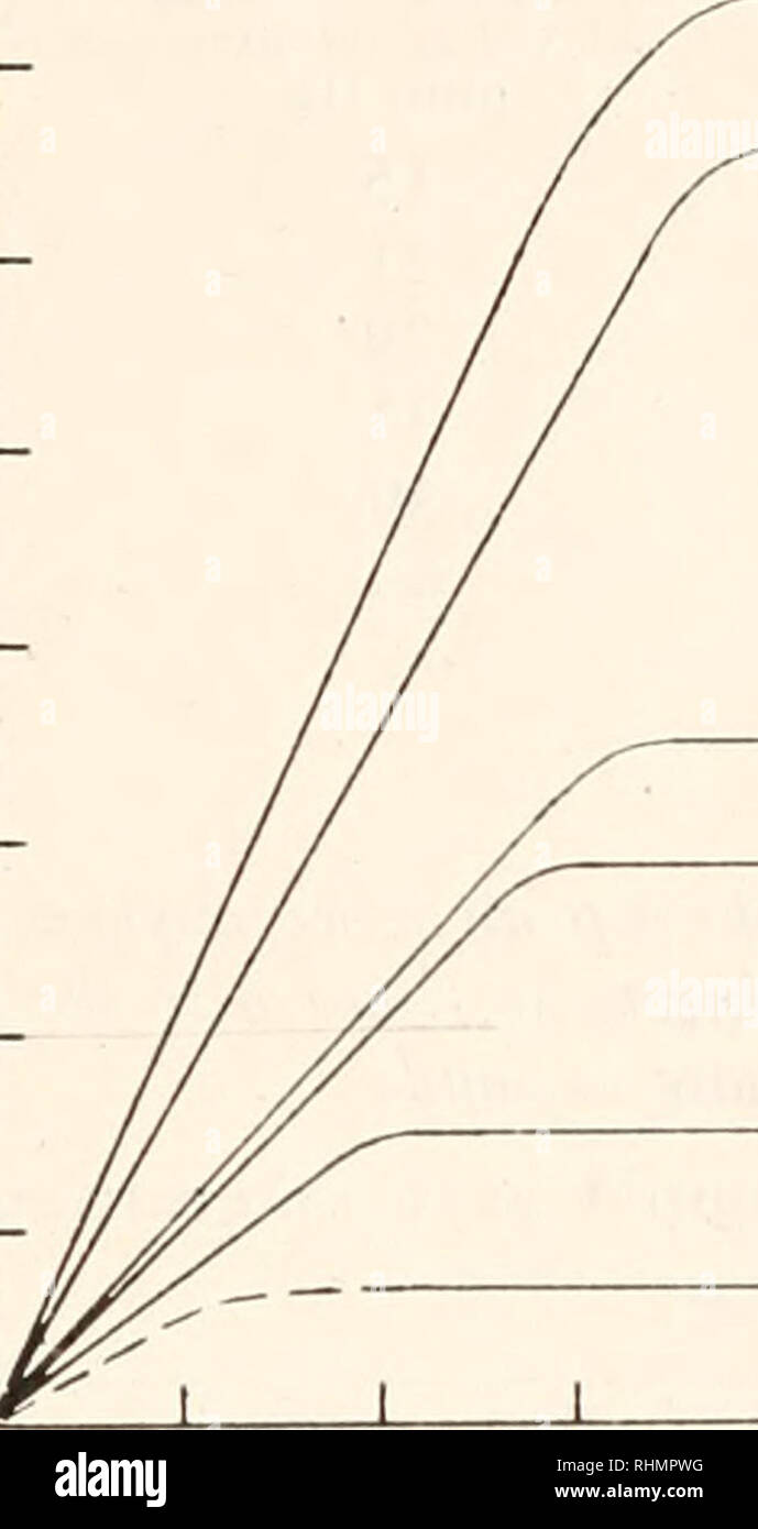 . The Biological bulletin. Biology; Zoology; Biology; Marine Biology ...