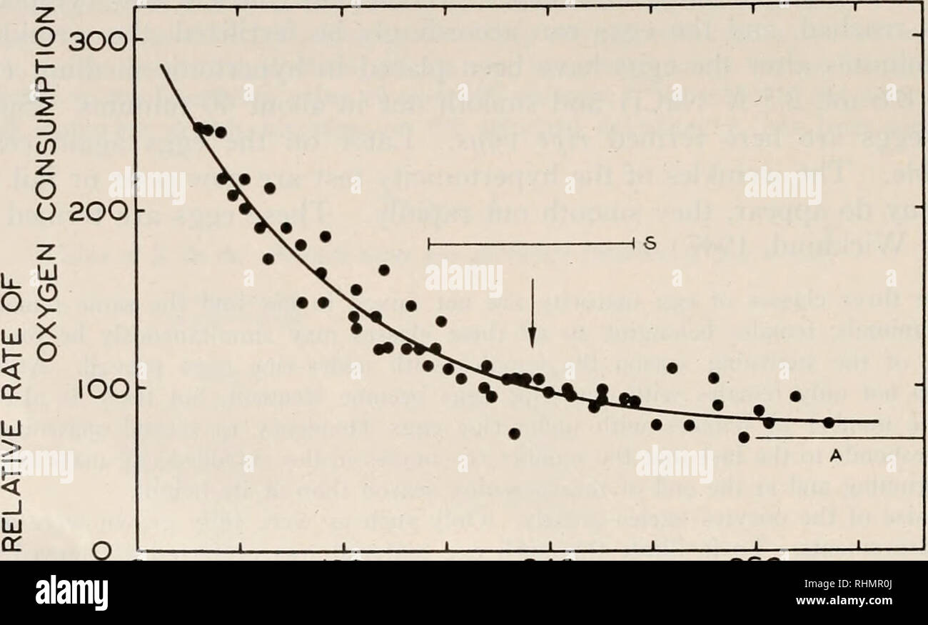 Polation hi-res stock photography and images - Alamy