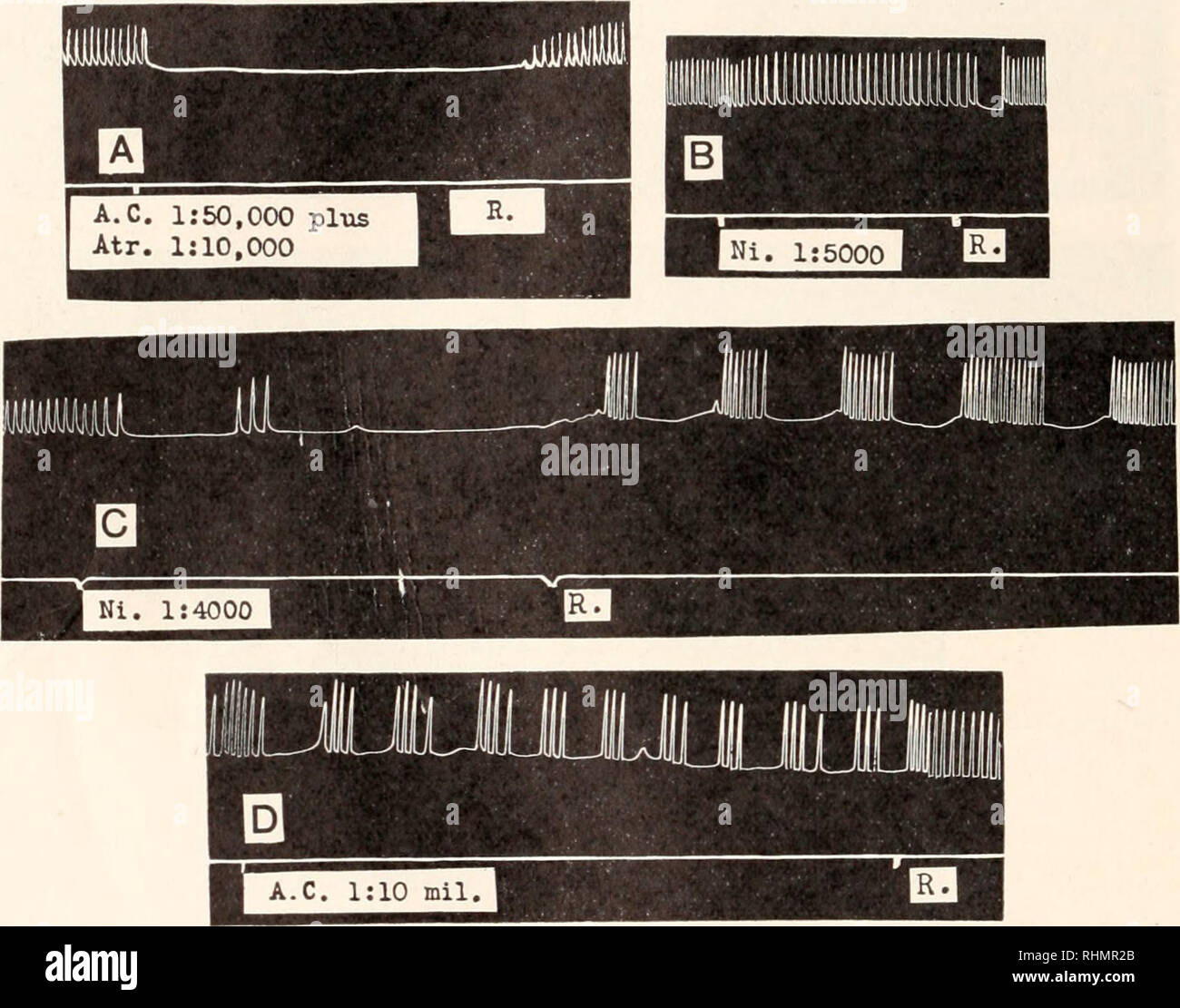 Positive chronotropic hi-res stock photography and images - Alamy