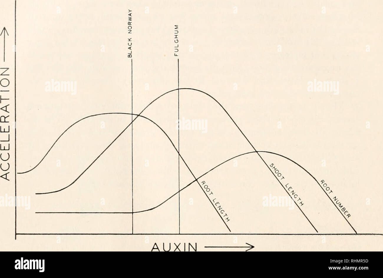 195 005 214 hi-res stock photography and images - Alamy