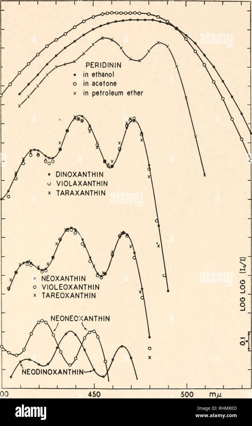 . The Biological bulletin. Biology; Zoology; Biology; Marine Biology ...