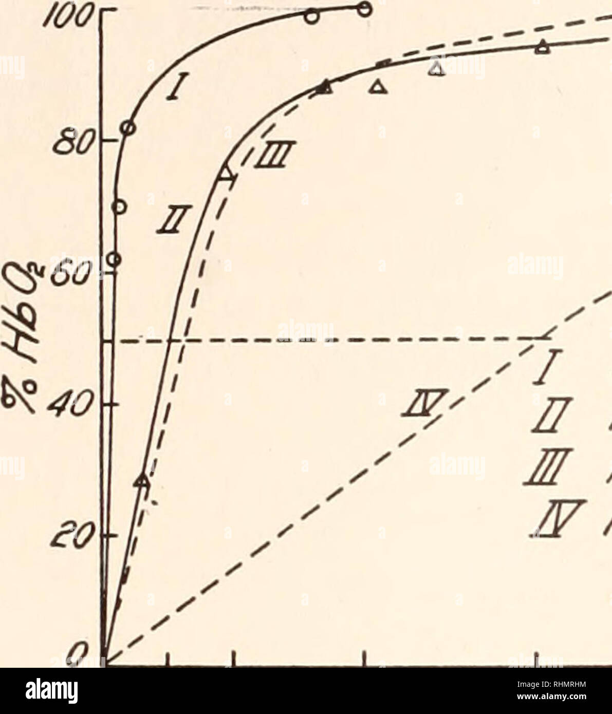 Saturation 95 hi-res stock photography and images - Alamy