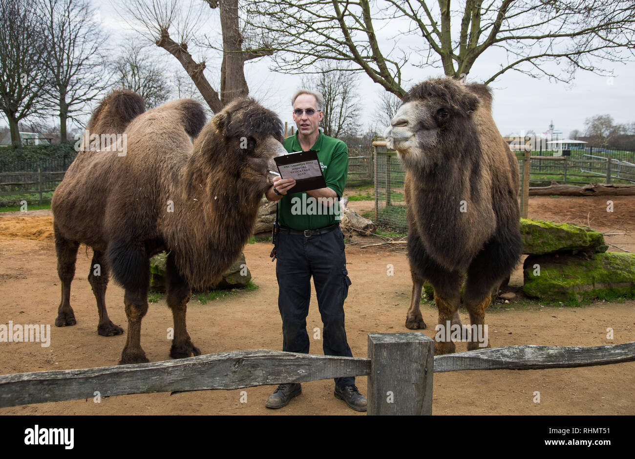 Keepers at ZSL London Zoo carry out the annual stocktake of animals ...