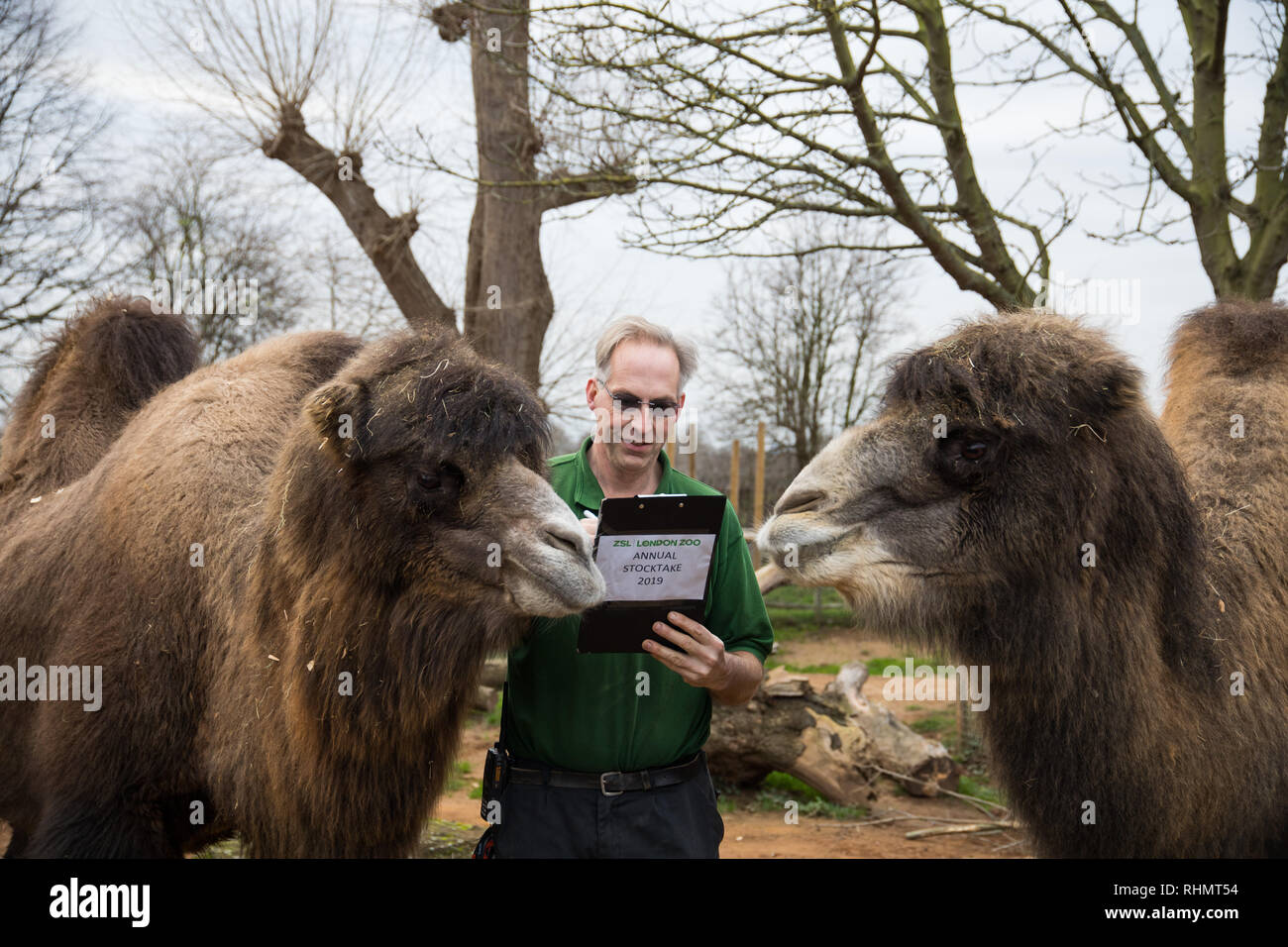Keepers at ZSL London Zoo carry out the annual stocktake of animals ...