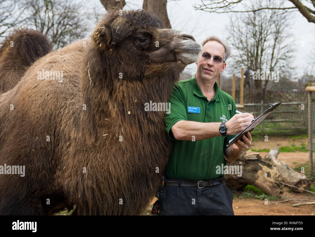 Keepers at ZSL London Zoo carry out the annual stocktake of animals ...