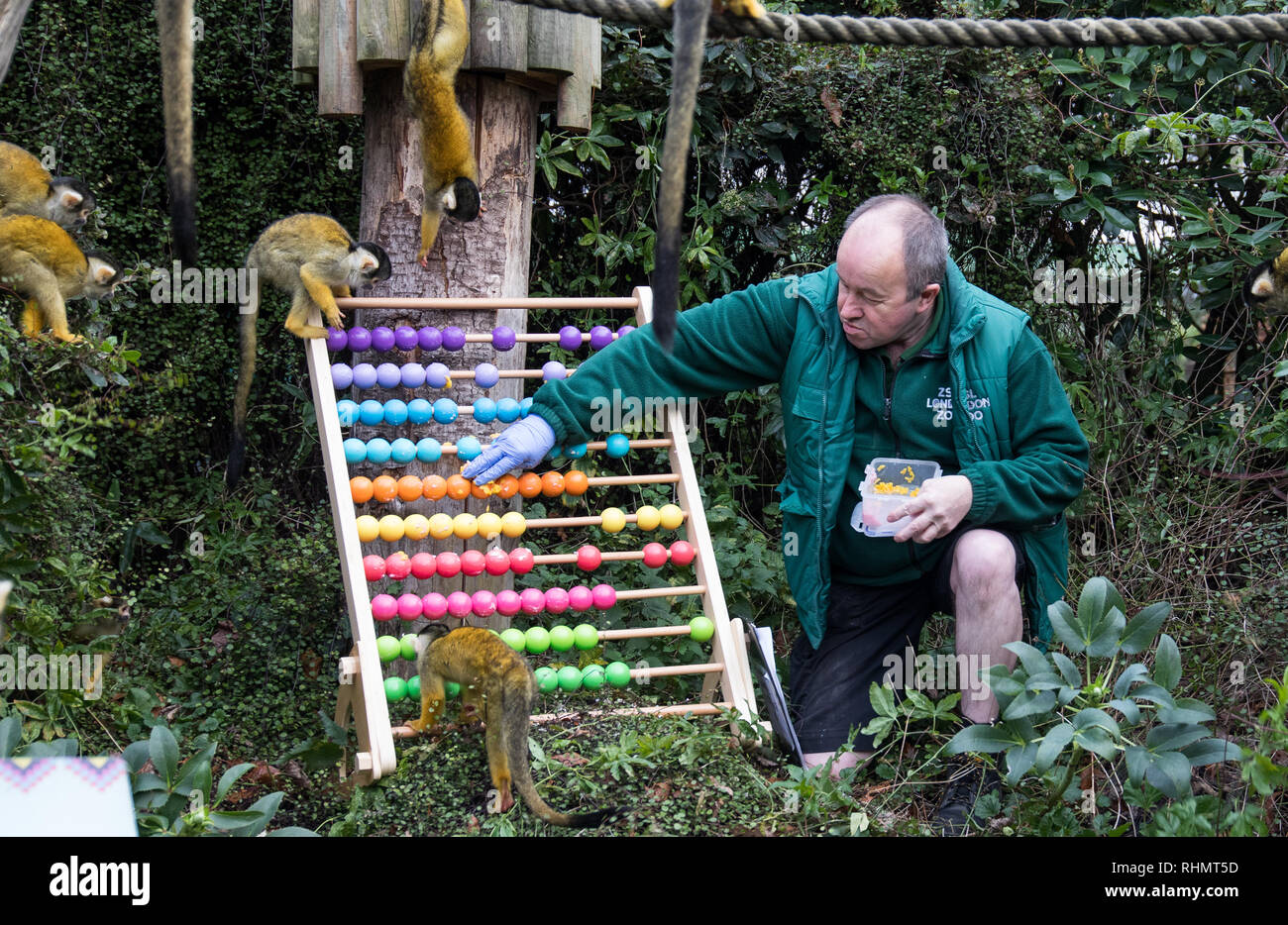 Keepers at ZSL London Zoo carry out the annual stocktake of animals ...