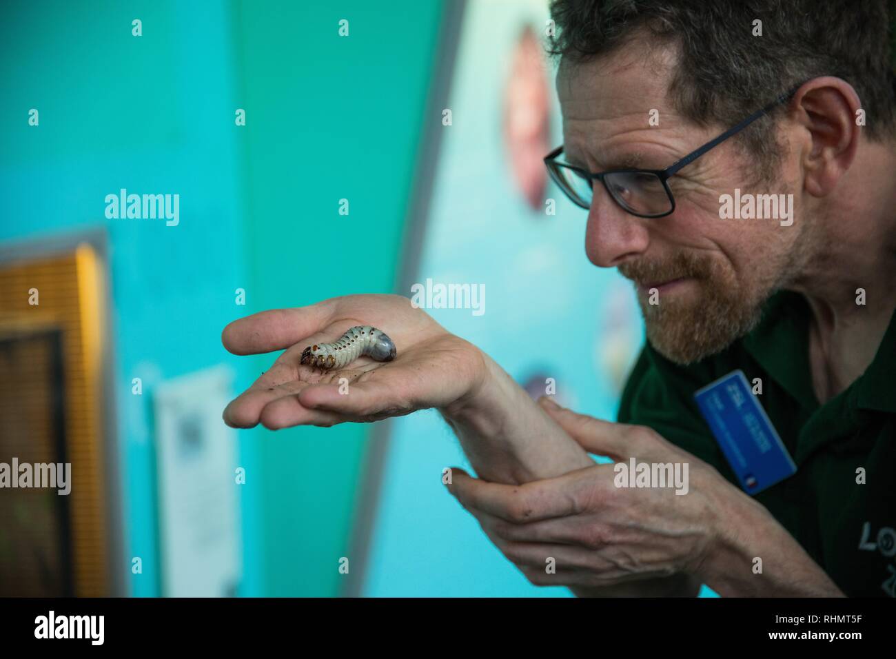 Keepers at ZSL London Zoo carry out the annual stocktake of animals ...