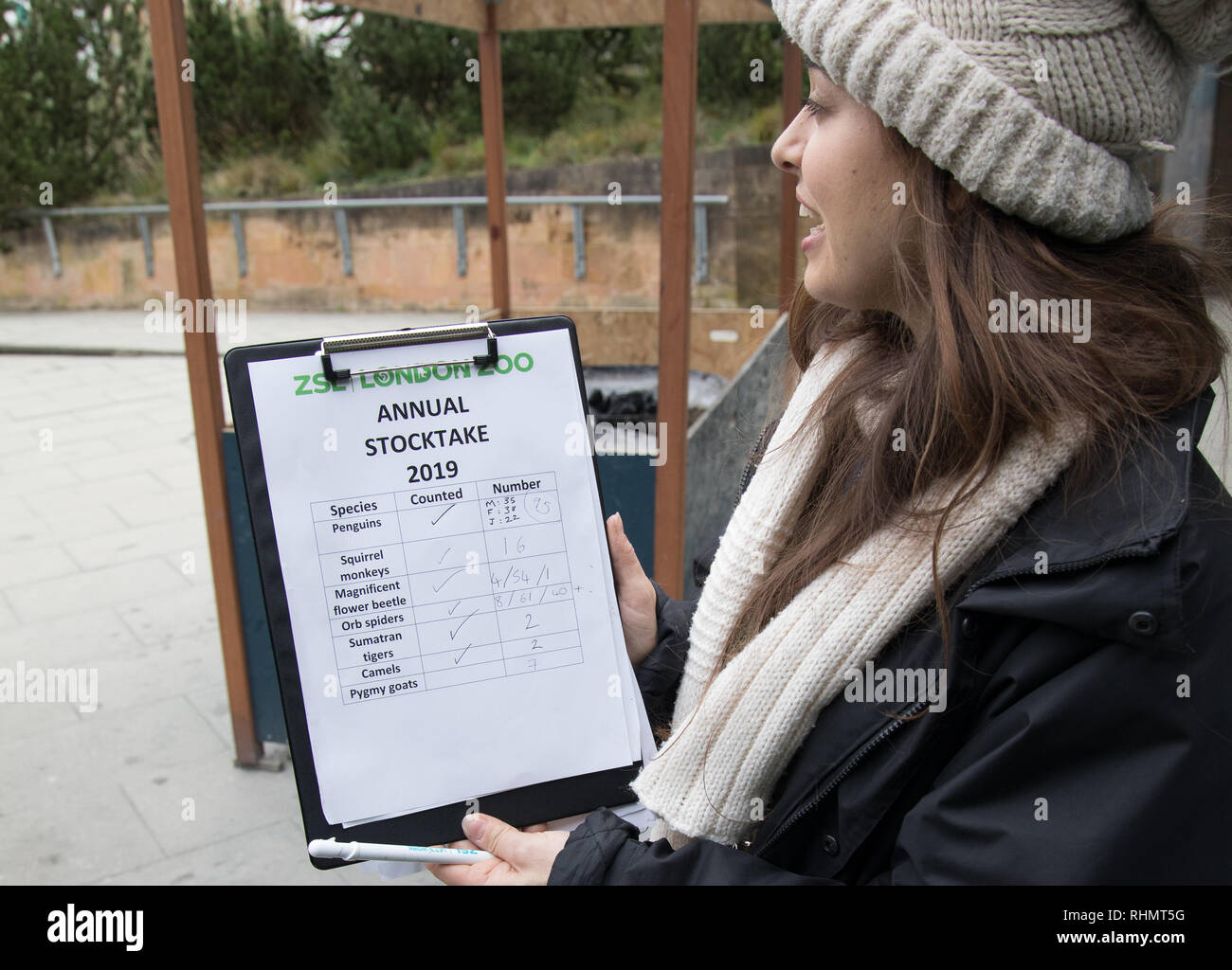 Keepers at ZSL London Zoo carry out the annual stocktake of animals ...
