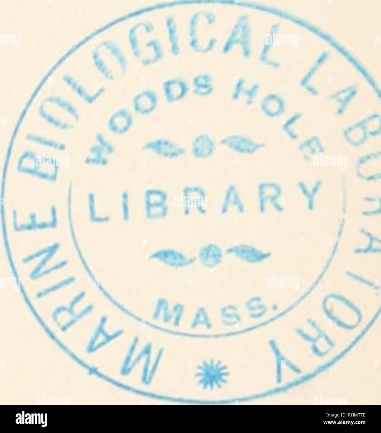 Bulbous ends hi-res stock photography and images - Alamy