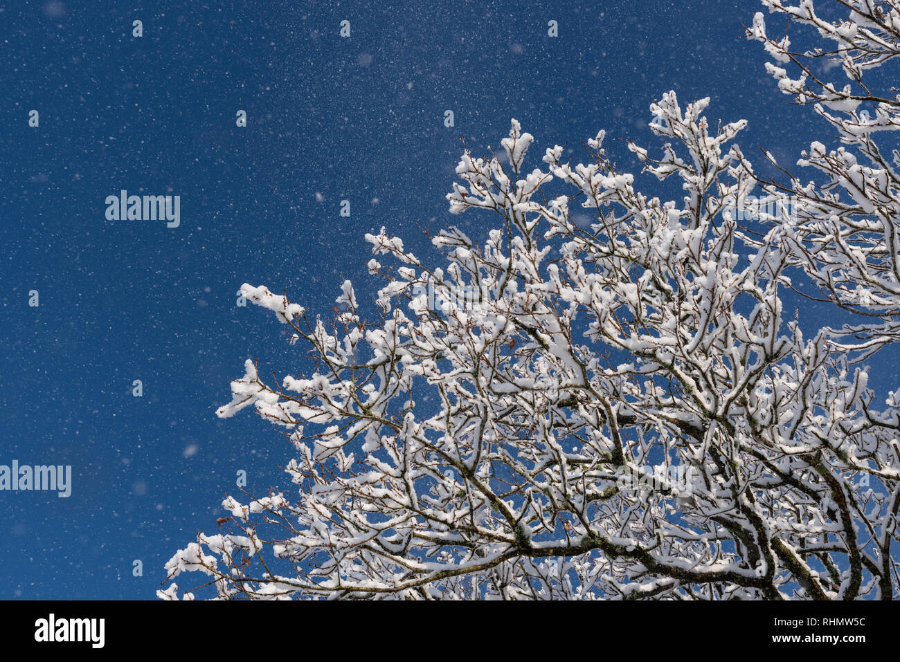 Pretty pattern hi-res stock photography and images - Alamy