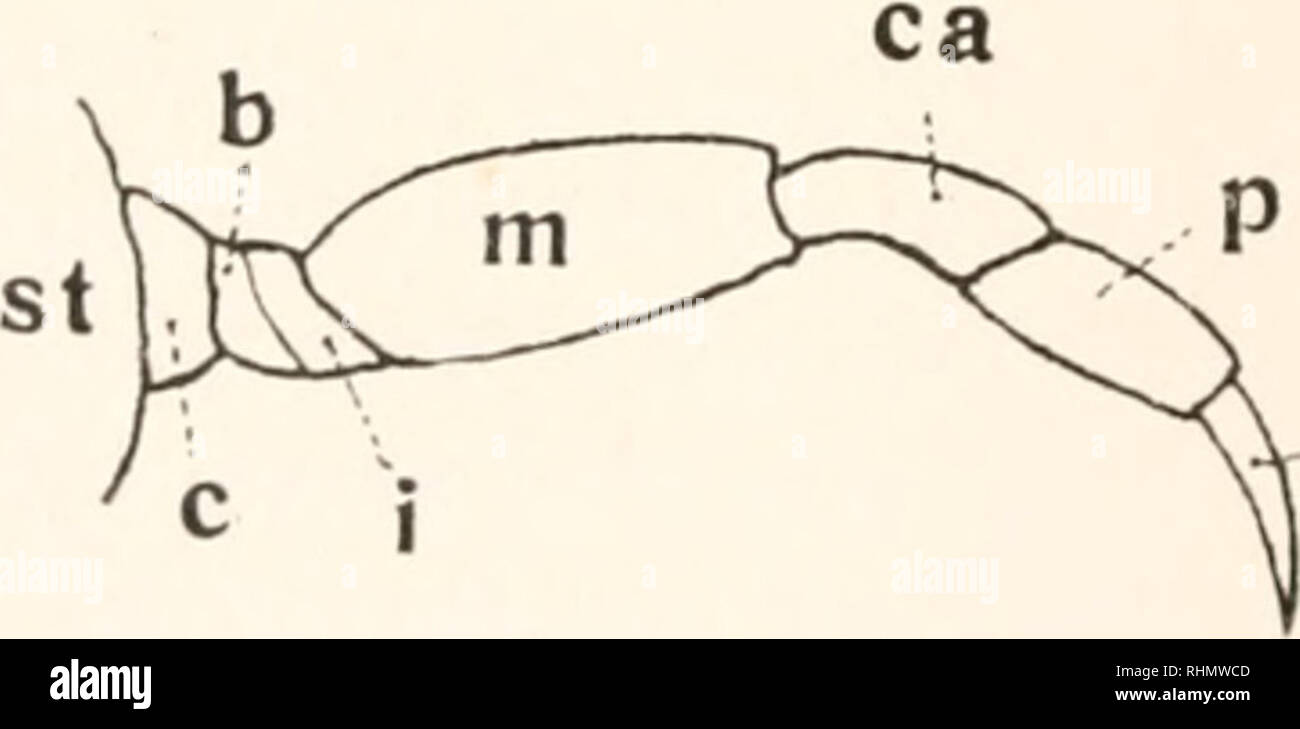 Hiding body position hi-res stock photography and images - Alamy