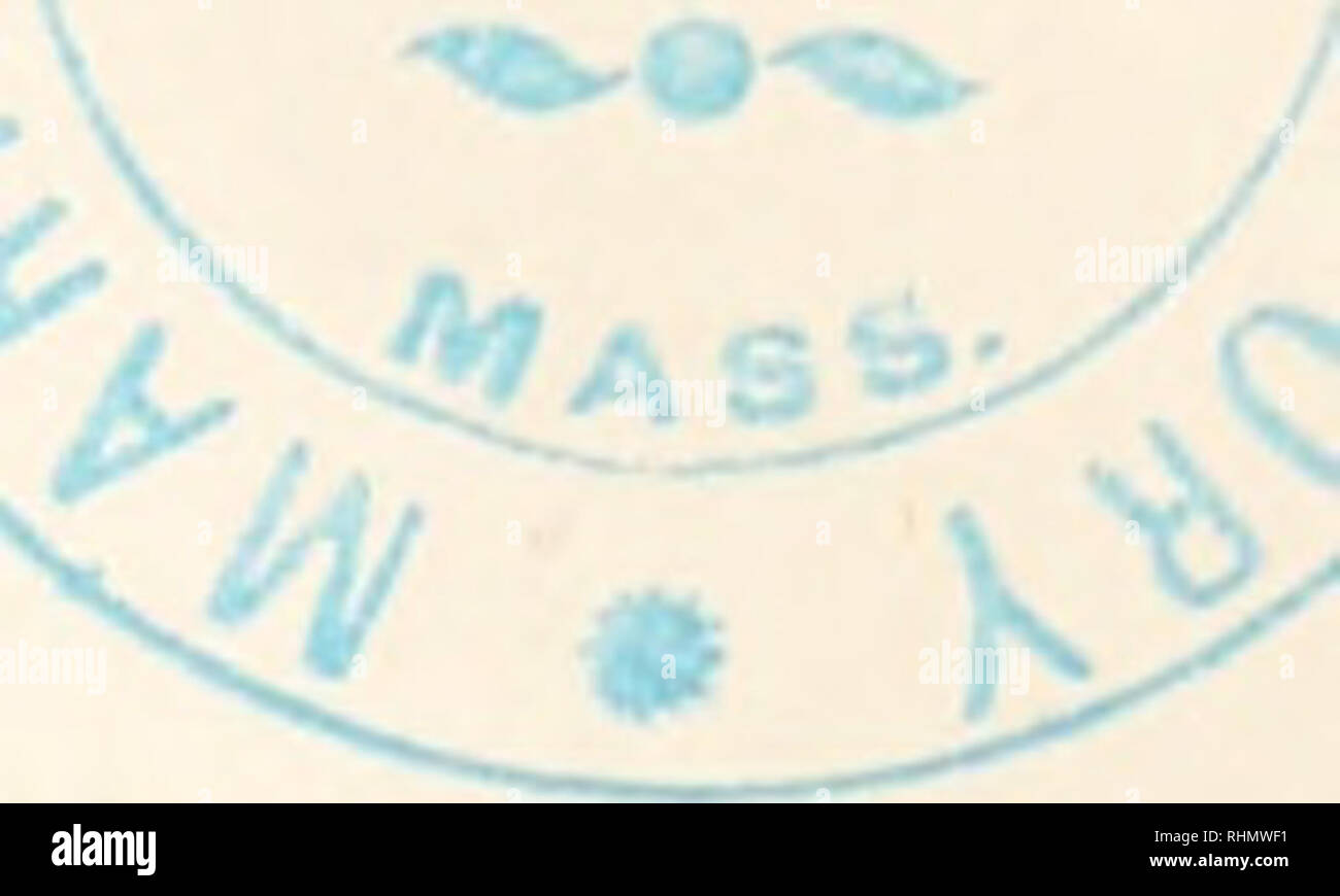 Anna minns hi-res stock photography and images - Alamy