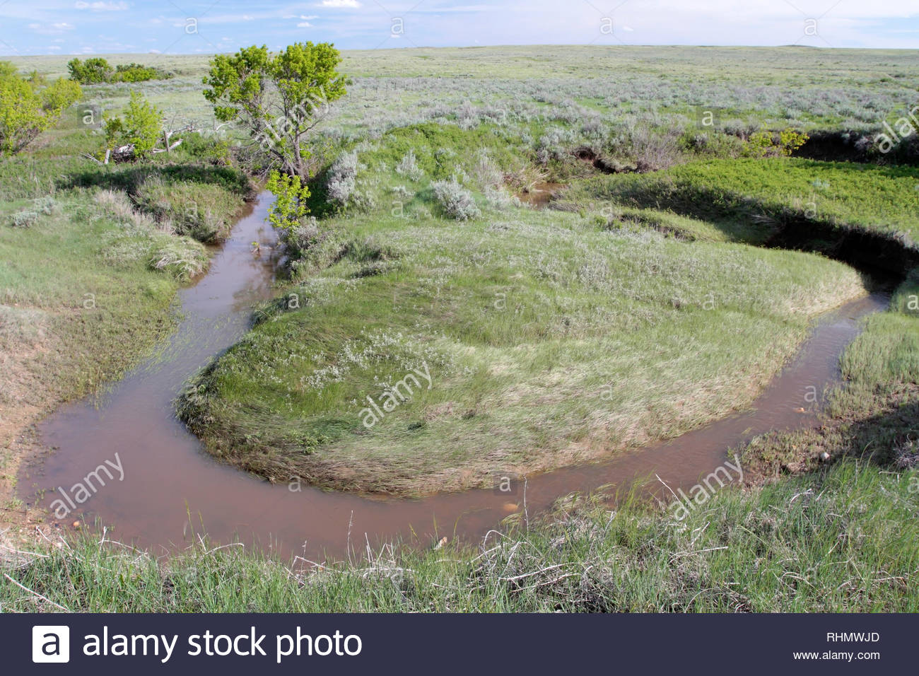 Shortgrass Prairie Stock Photos & Shortgrass Prairie Stock Images - Alamy