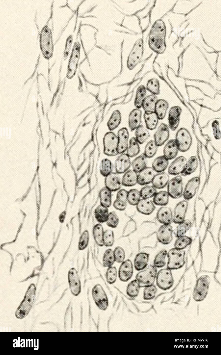 . The Biological bulletin. Biology; Zoology; Biology; Marine Biology ...