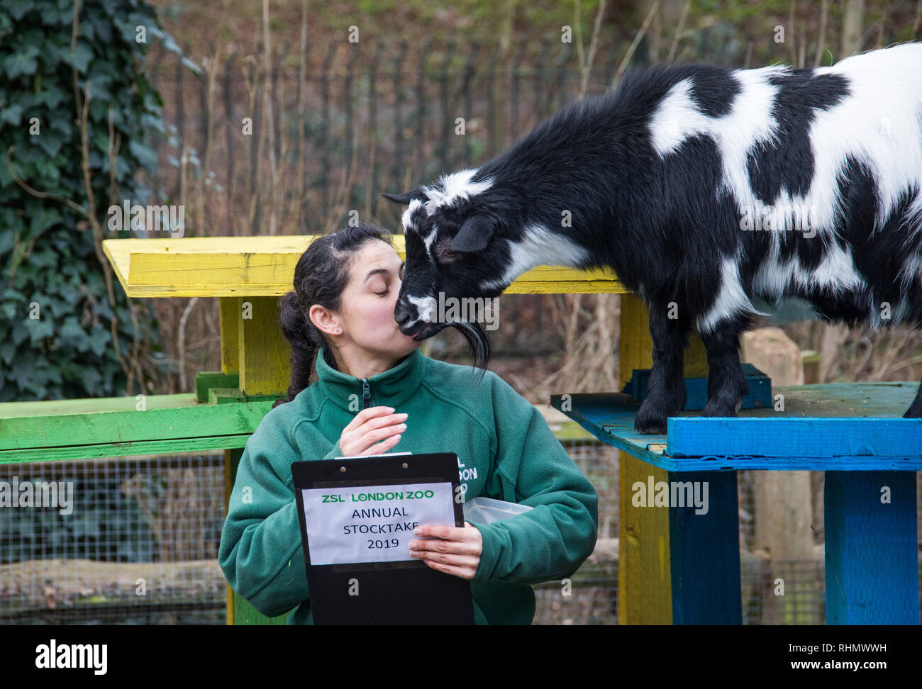 Keepers at ZSL London Zoo carry out the annual stocktake of animals ...