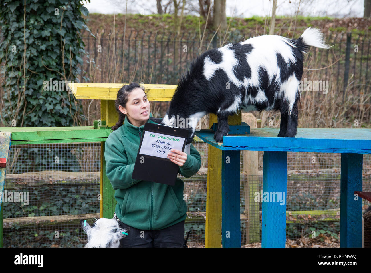 Paparazzi birds hi-res stock photography and images - Alamy