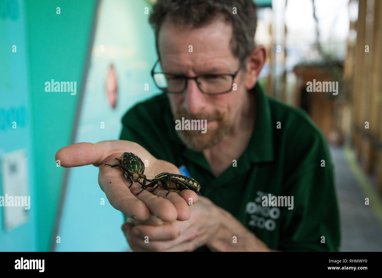 Keepers at ZSL London Zoo carry out the annual stocktake of animals ...