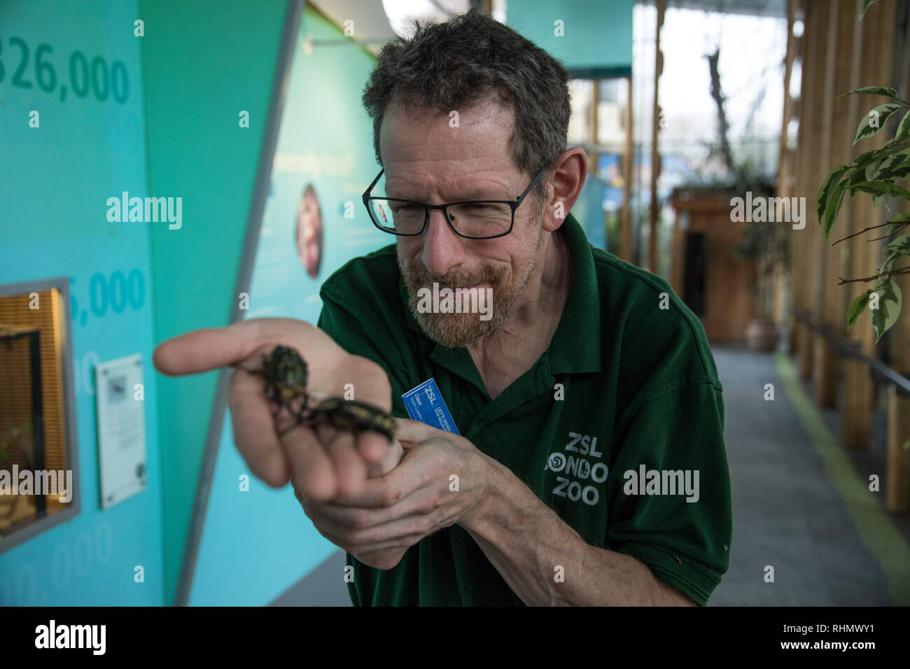 Keepers at ZSL London Zoo carry out the annual stocktake of animals ...
