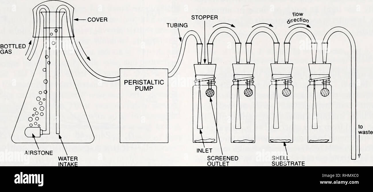 Water intake chambers hi-res stock photography and images - Alamy